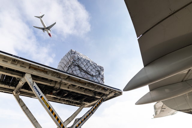 Ramp Services - SATS